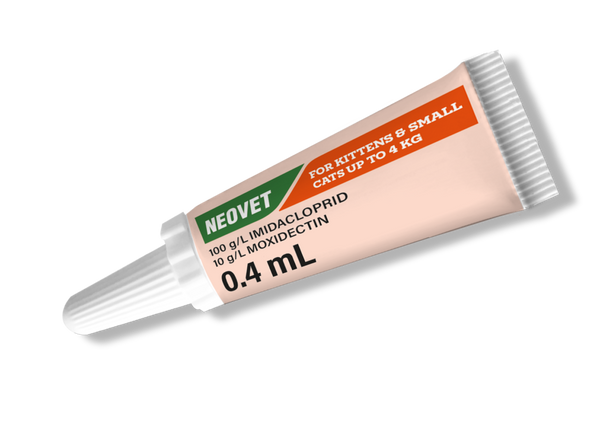 Neovet kitten & small cats upto 4kg – Koky's Fodder & Pet Supplies